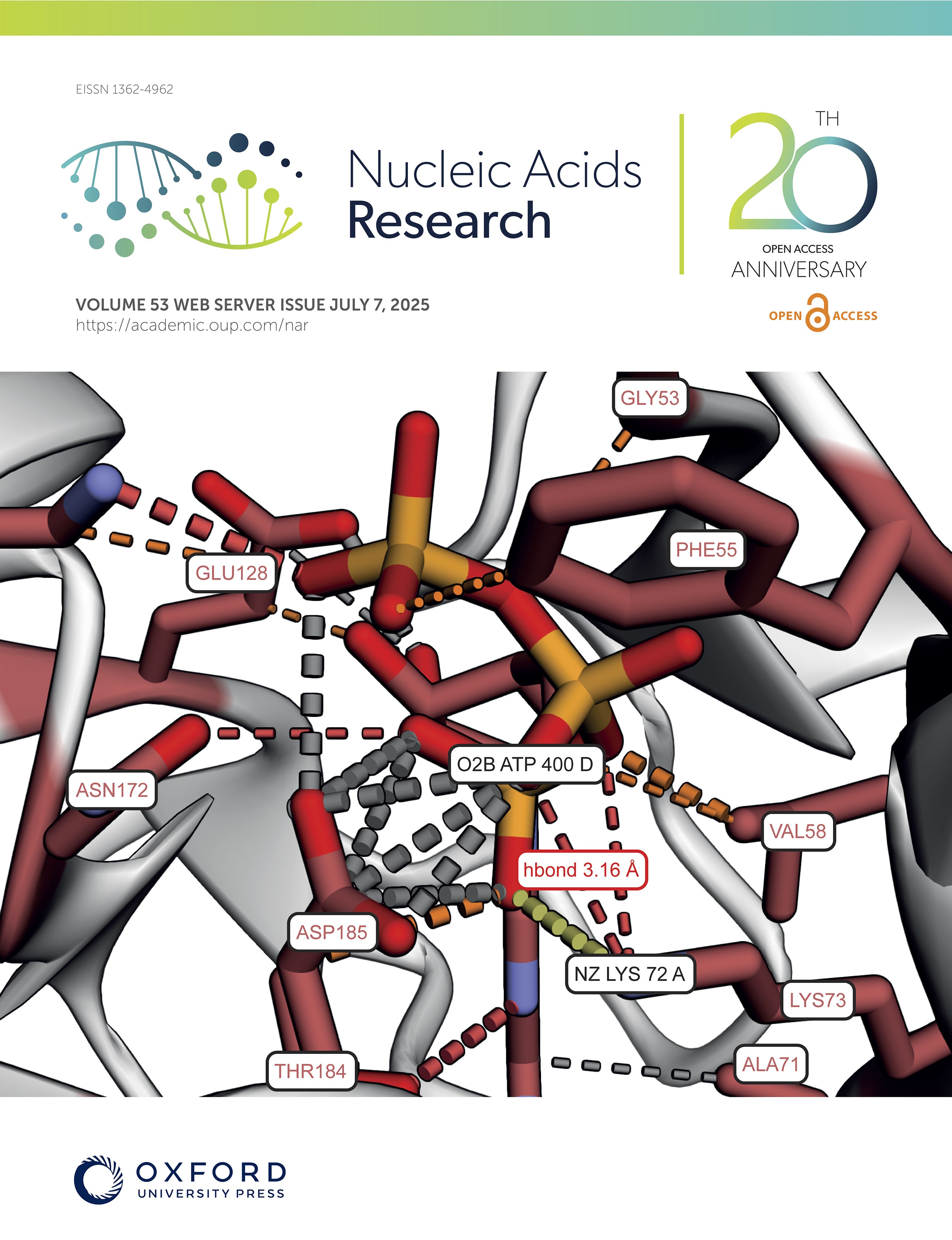 BEscreen: A Versatile Toolkit to Design Base Editing Libraries | Ostendorf Lab